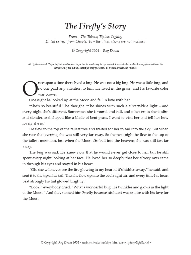 The Fireflys Story | PDF