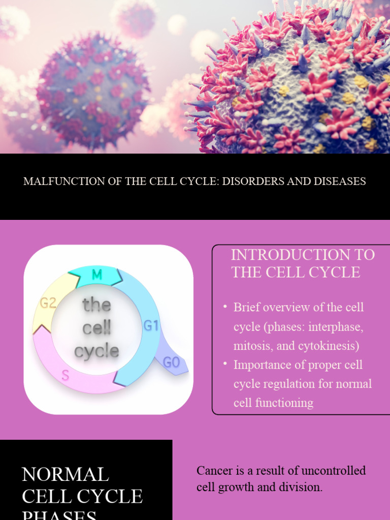Cell Cycle Malfunctions and Diseases | PDF | Cell Cycle | Genetic Disorder
