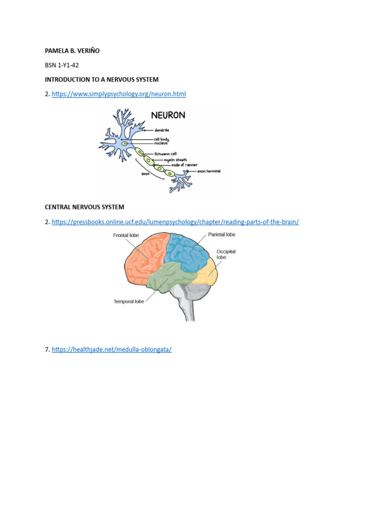 Exercise No.7 Nervous System | PDF