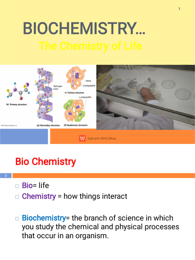 Understanding Biochemistry Basics | PDF | Chemistry | Biochemistry