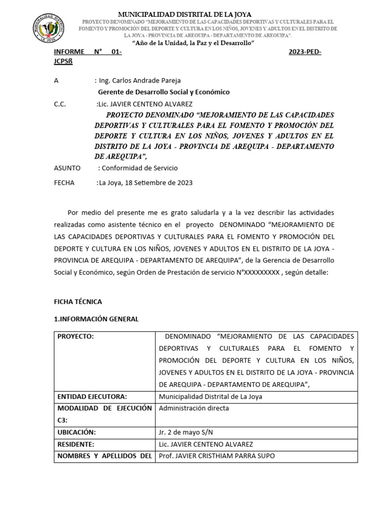 Modelo Del Informe | PDF