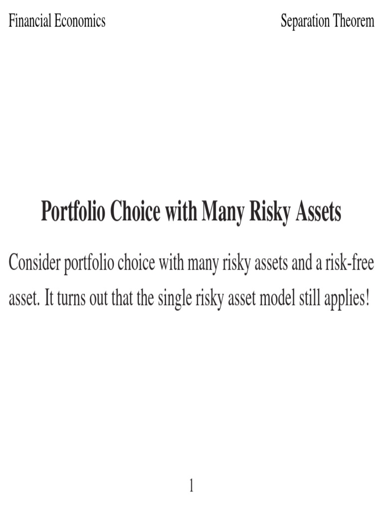 Separation Theorem | PDF | Modern Portfolio Theory | Financial Economics