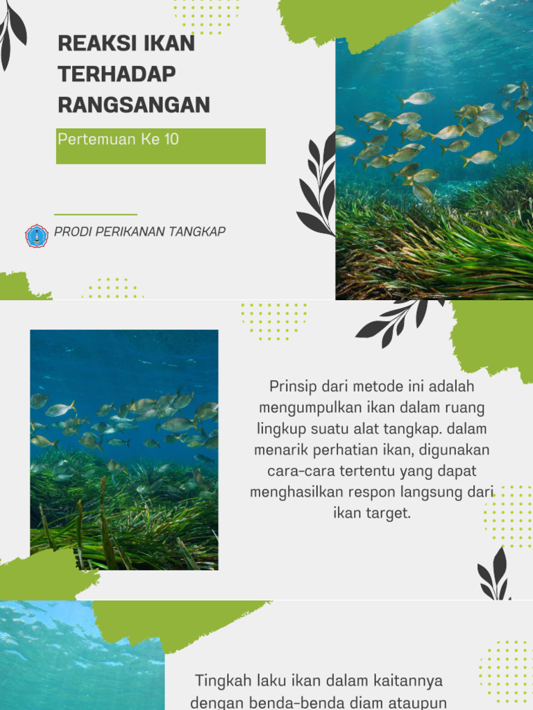 Ikan dan Respons terhadap Rangsangan | PDF | Ilmu Sosial | Griya & Taman