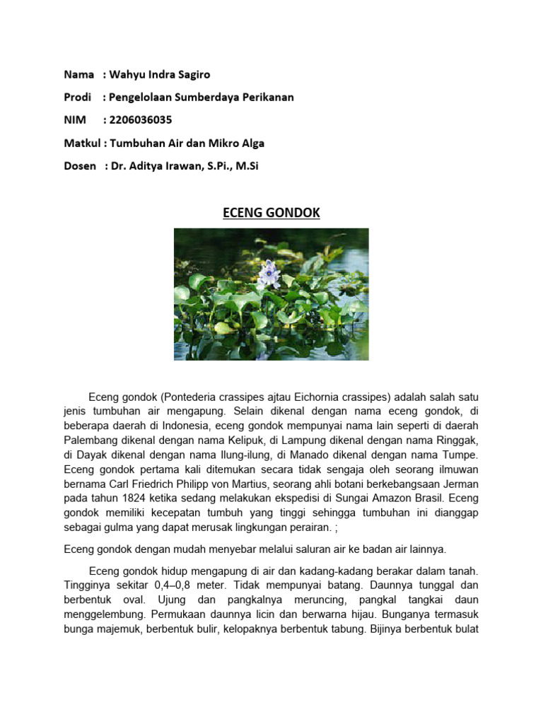 Eceng Gondok: Manfaat dan Dampak | PDF