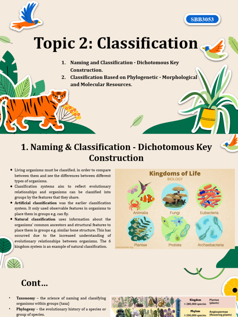 Topic 2_Classification | PDF | Taxonomy (Biology) | Phylogenetic Tree