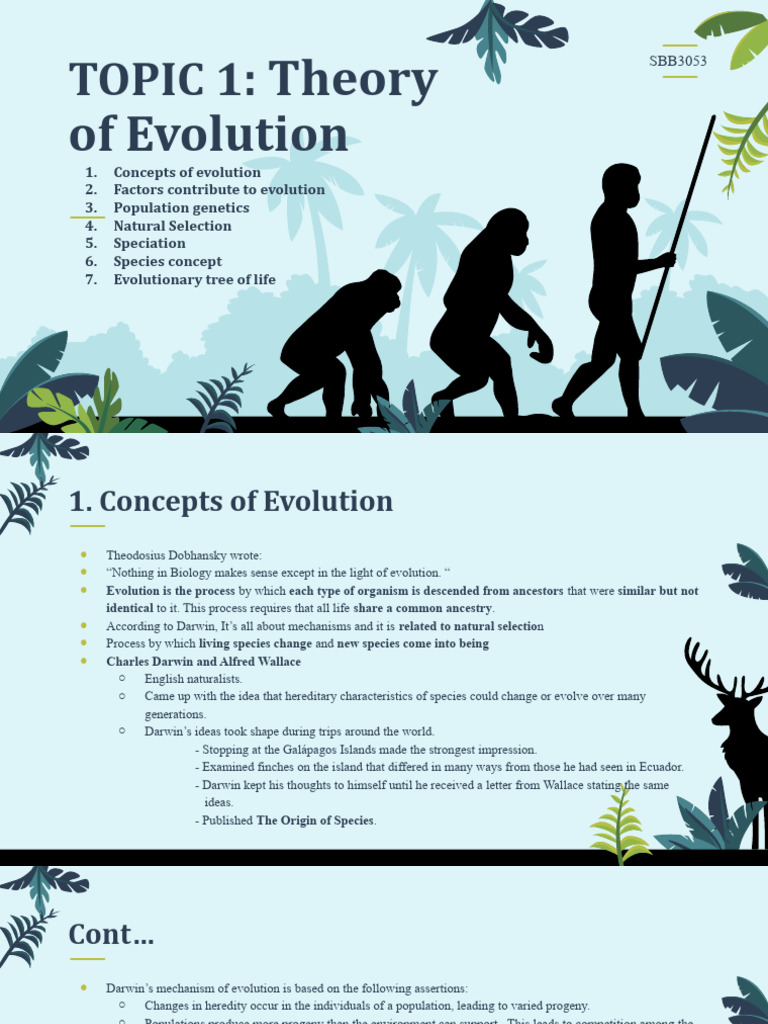 Topic 1 - Evolution | PDF | Mutation | Evolution