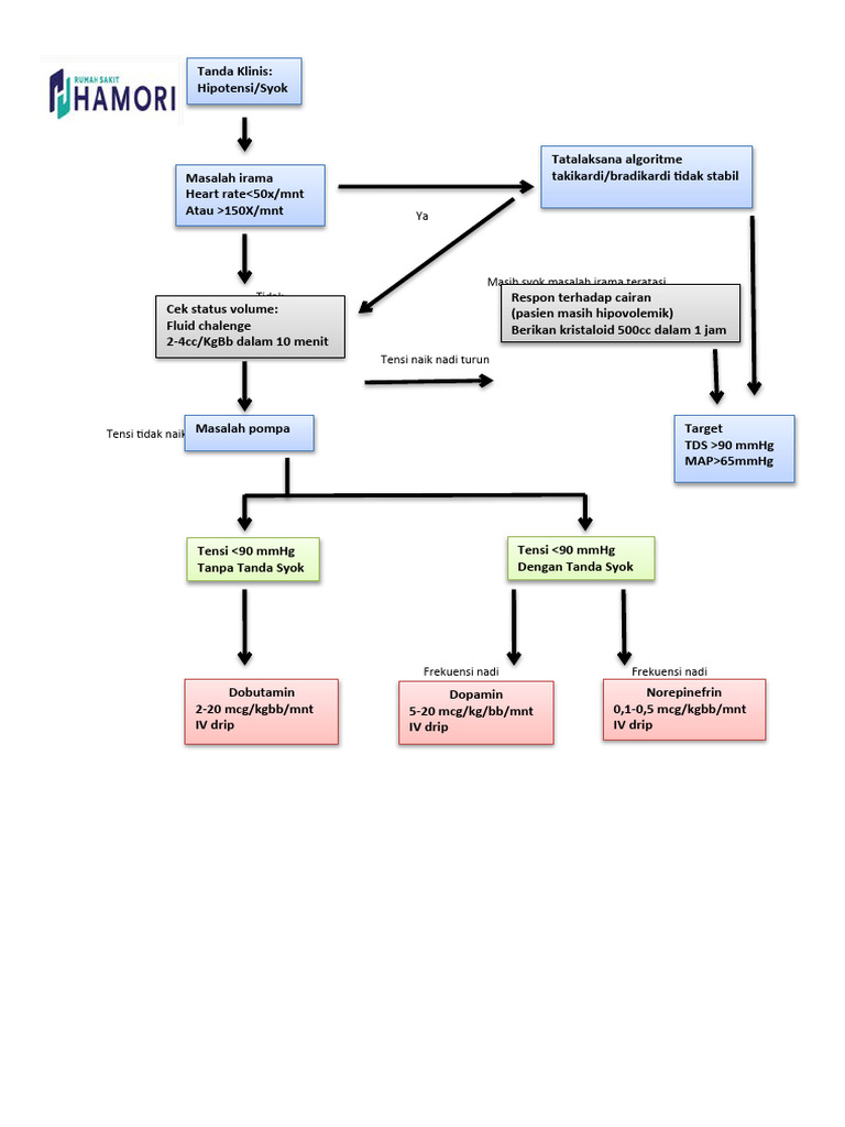 Algoritma Penanganan Hipotensi ACLS | PDF