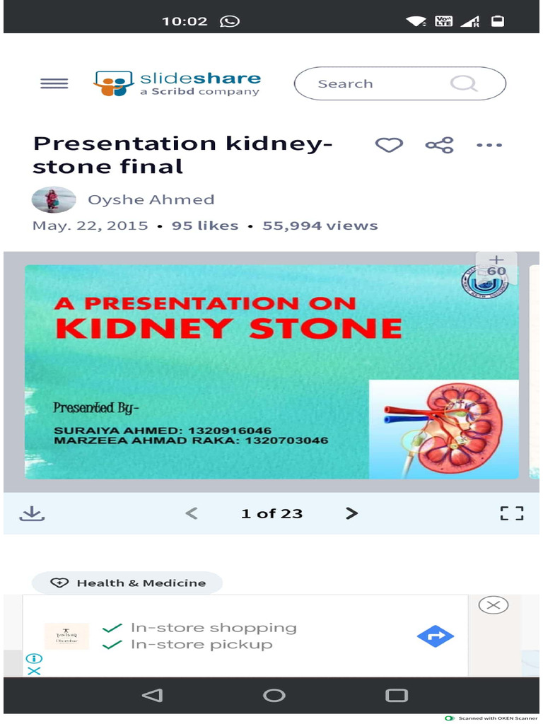 Health Talk On Kidney Stones | PDF