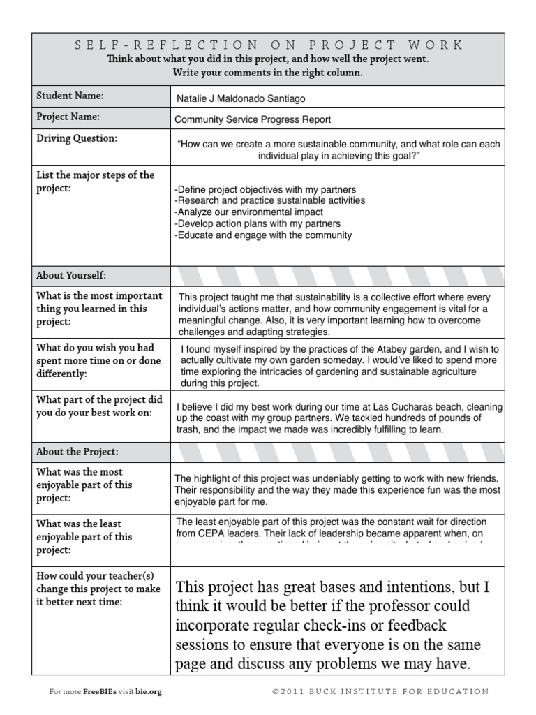 Self Reflection On Project 1 | PDF | Sustainability