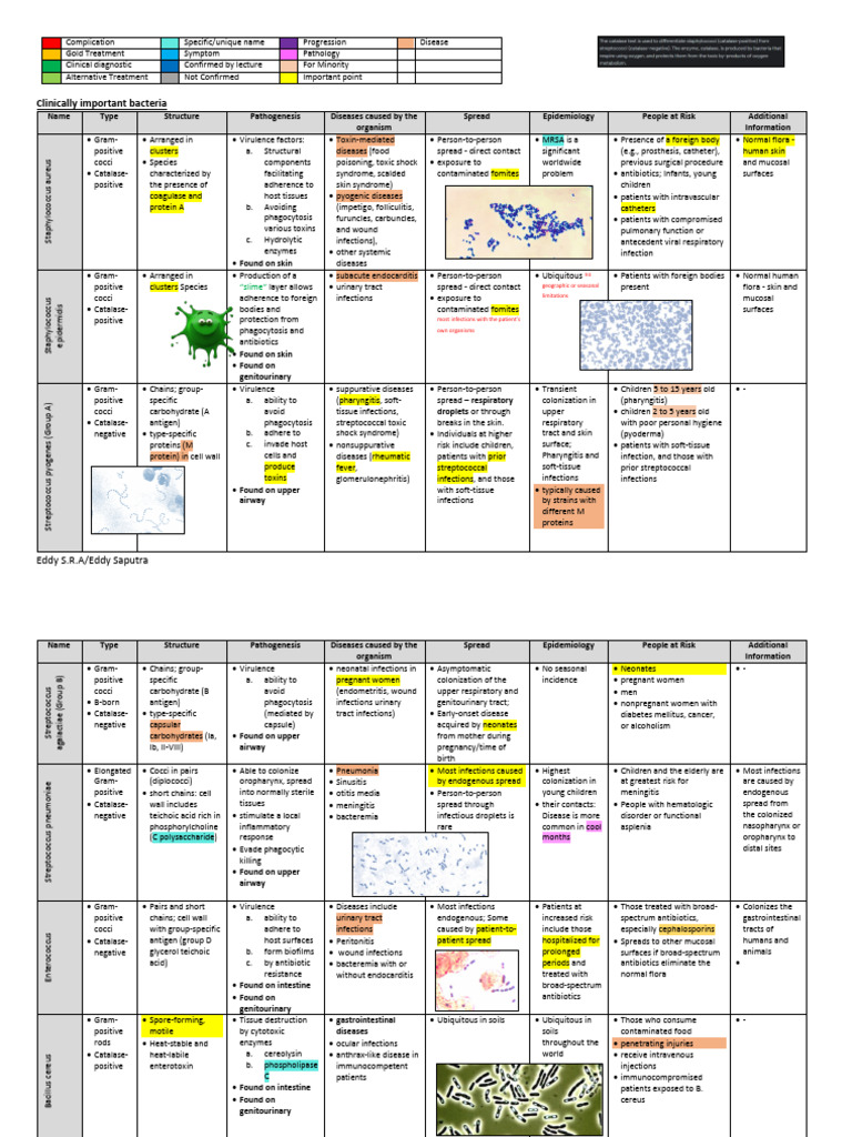 Mycology Bacteria Inducing Diseases Notes | PDF | Salmonella | Infection