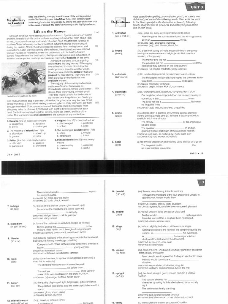 01 Unit 3 Vocabulary Grade 7 Definitions and Completing The Sentence | PDF