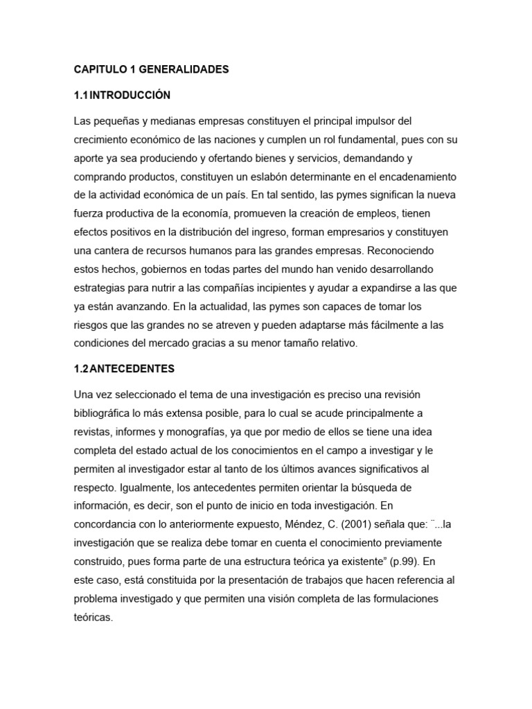 Capitulo 1 Generalidades | PDF | Pequeñas y medianas empresas | Business
