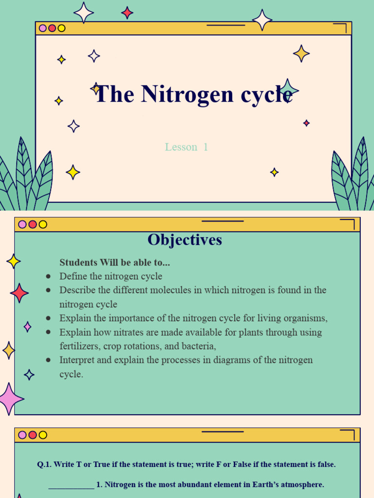 Understanding the Nitrogen Cycle | PDF | Nitrogen | Soil