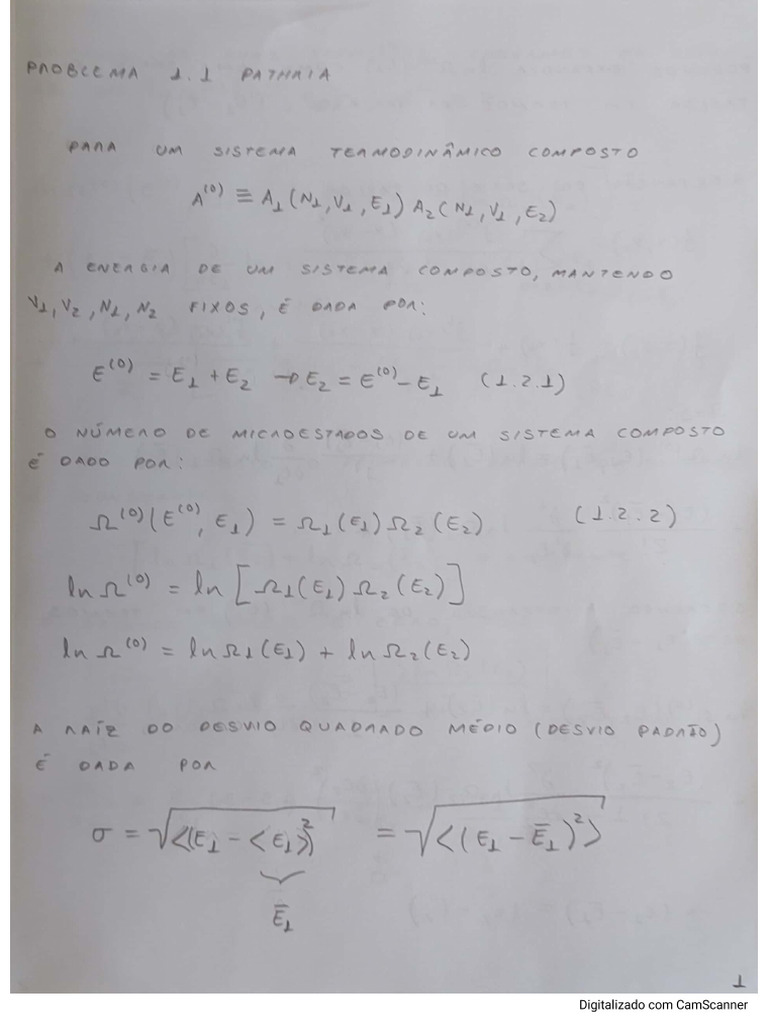 Problema 1.1 Pathria | PDF