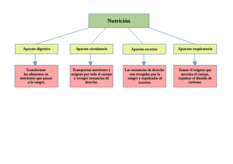 Esquema de Curso | PDF