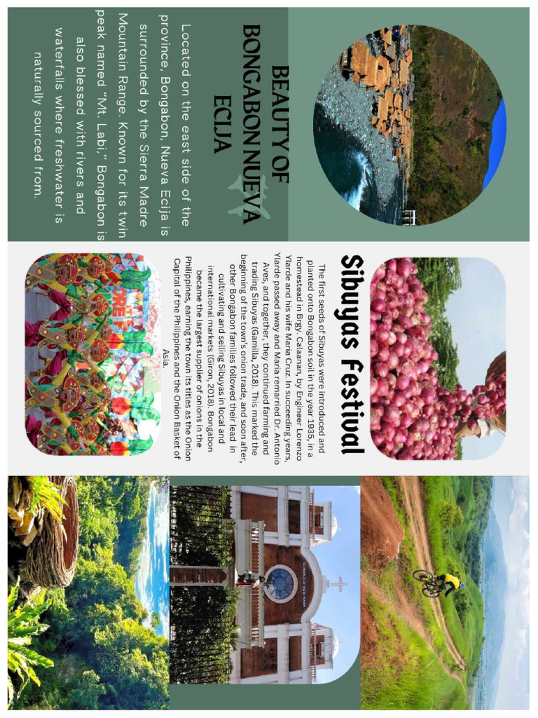 Reinie | PDF
