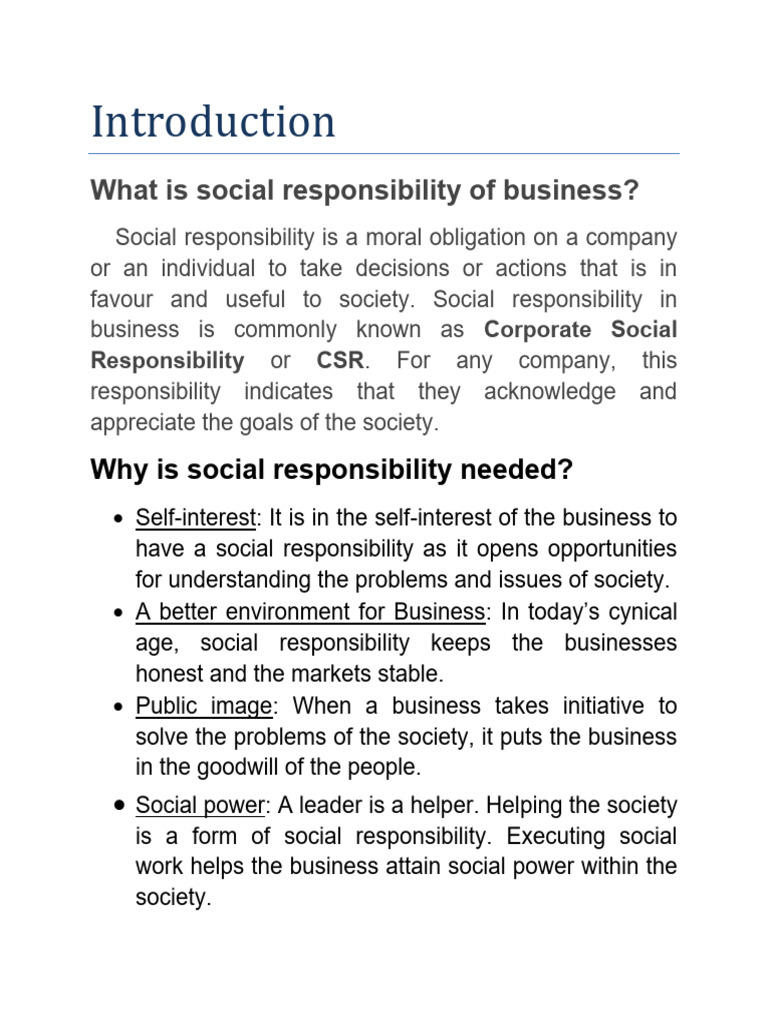 BS Project | PDF | Corporate Social Responsibility | Economies
