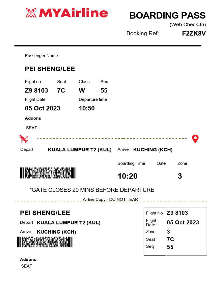 Boarding Pass for Flight Z9 8103 | PDF