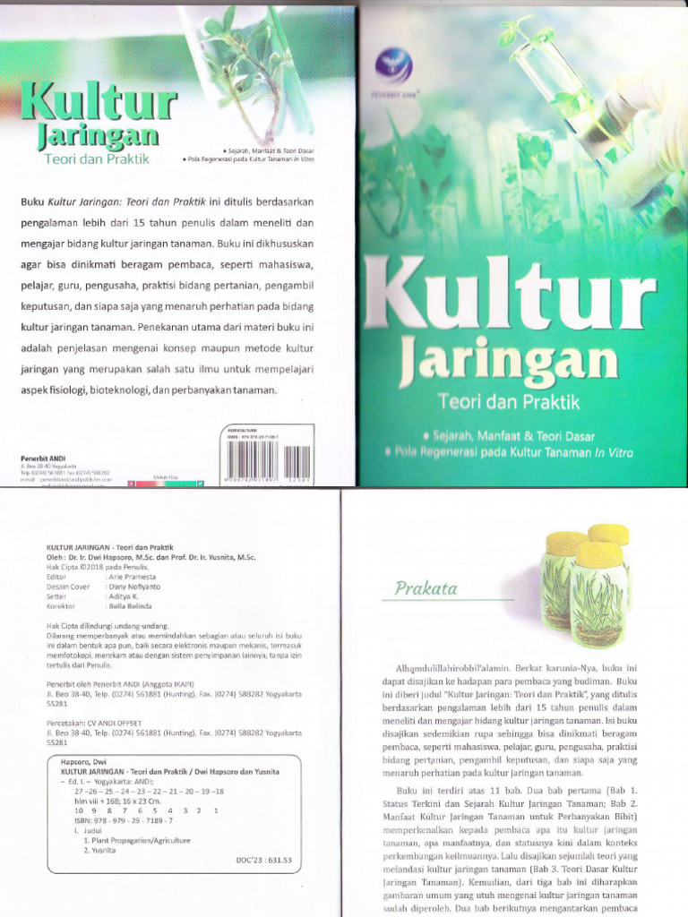 Pengertian Kultur Jaringan | PDF
