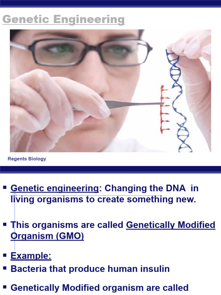 Genetic Engineering | PDF | Genetic Engineering | Plasmid