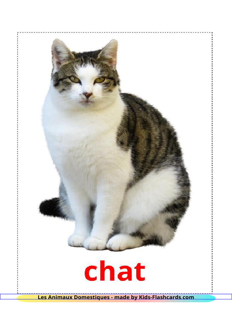 Flashcards des Animaux Domestiques | PDF