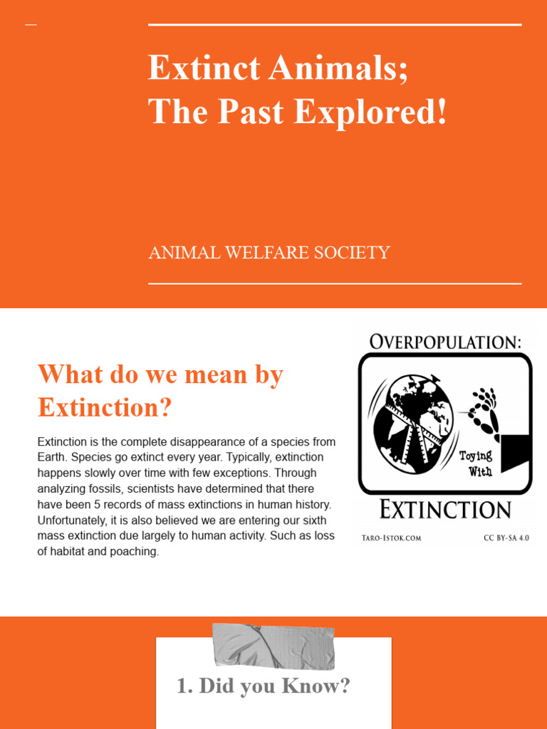 Your Big Idea | PDF | Extinction | Biodiversity