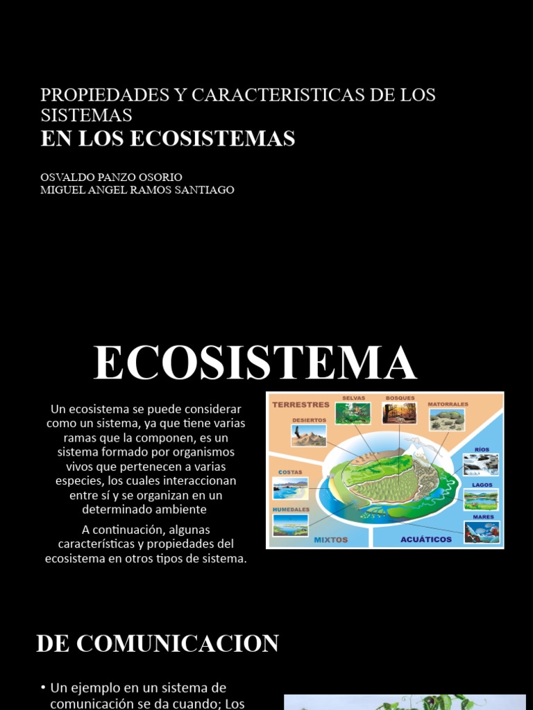 Presentacion Ecosistema | PDF | Ecosistema | Organismos
