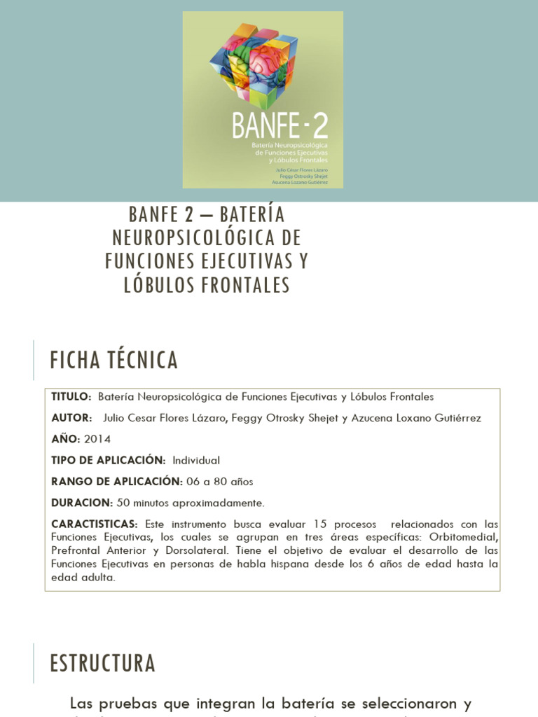 BANFE 2 Presentación | PDF | Corteza prefrontal | Memoria