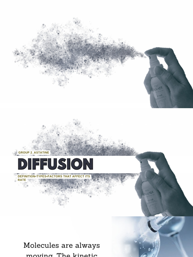 Diffusion Group 2 | PDF | Diffusion | Osmosis