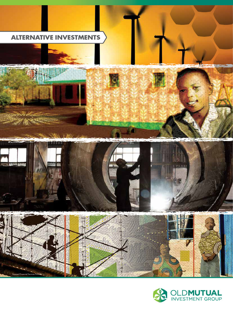 Alt Investments Profile | PDF | Investment Fund | Private Equity