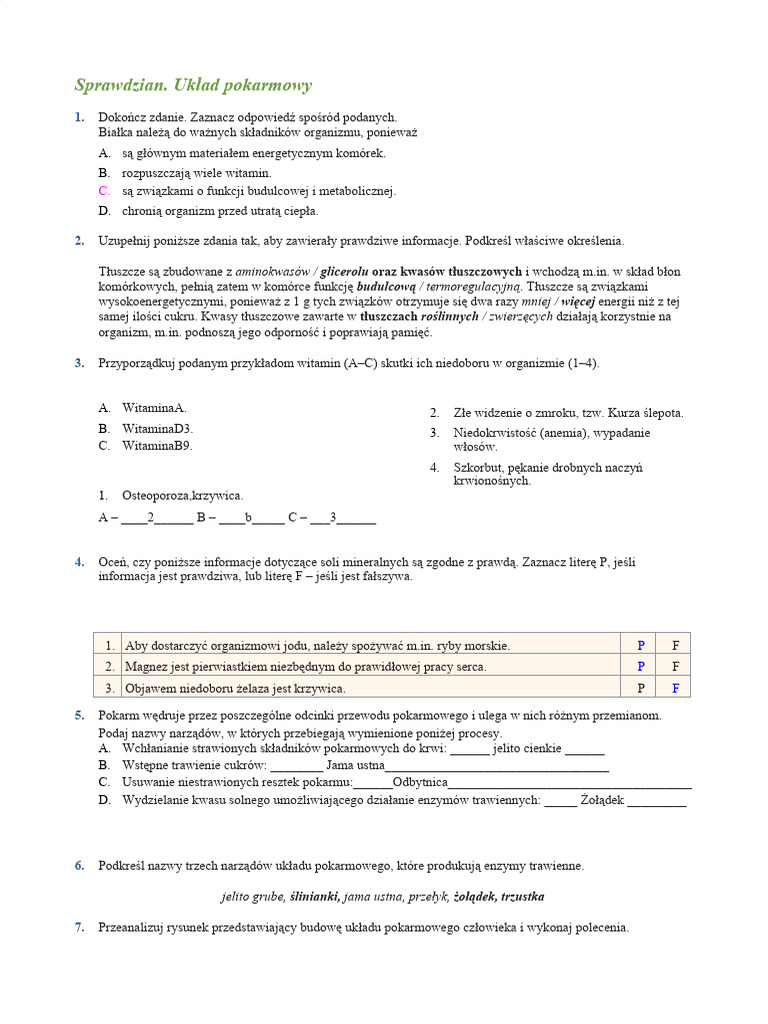 Natalia Sadowska - Sprawdzian - Układ Pokarmowy Kl.7 | PDF