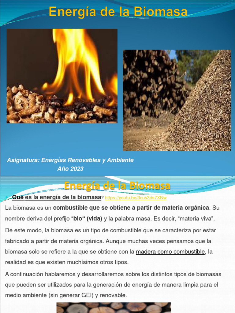 Energía de La Biomasa | PDF | Biomasa | Pirólisis