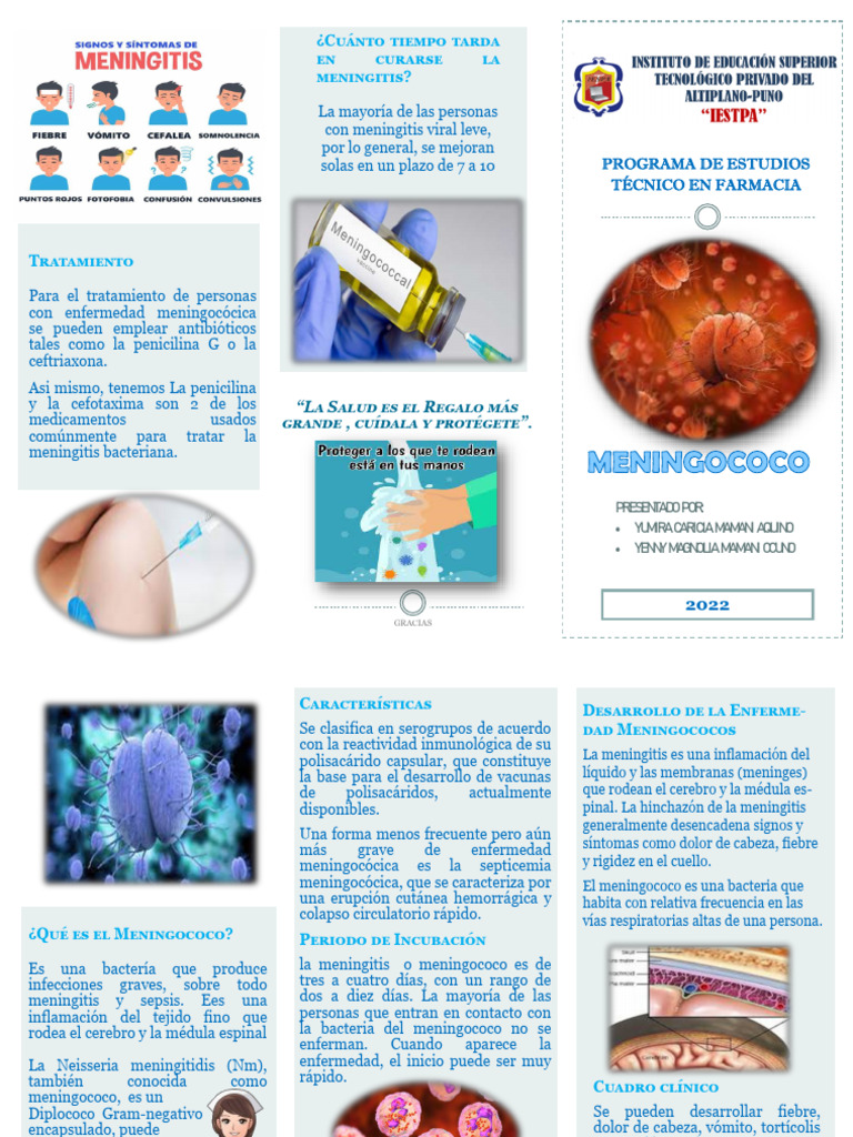 Triptico Meningococo | PDF | Meningitis | Especialidades Medicas