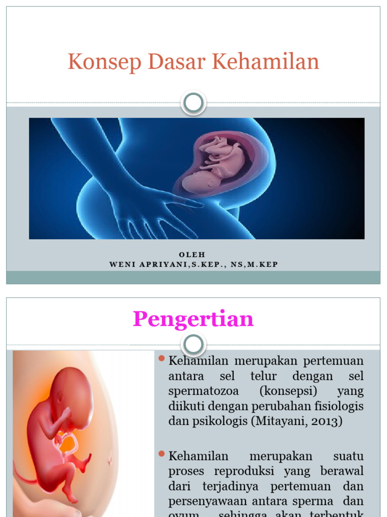 Konsep Dasar Kehamilan | PDF