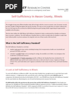Self-Sufficiency Matrix | PDF