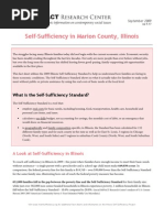 Self-Sufficiency Matrix | PDF
