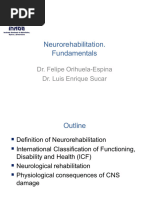 The Dynamic Occupational Therapy Cognitive Assessment for Children ...