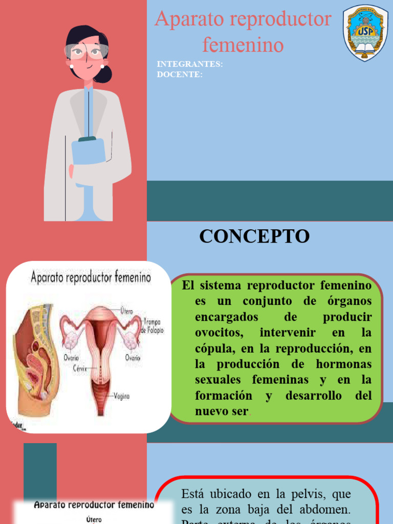 APARATO REPRODUCTOR FEMENINO 1 | PDF | Vagina | Labios
