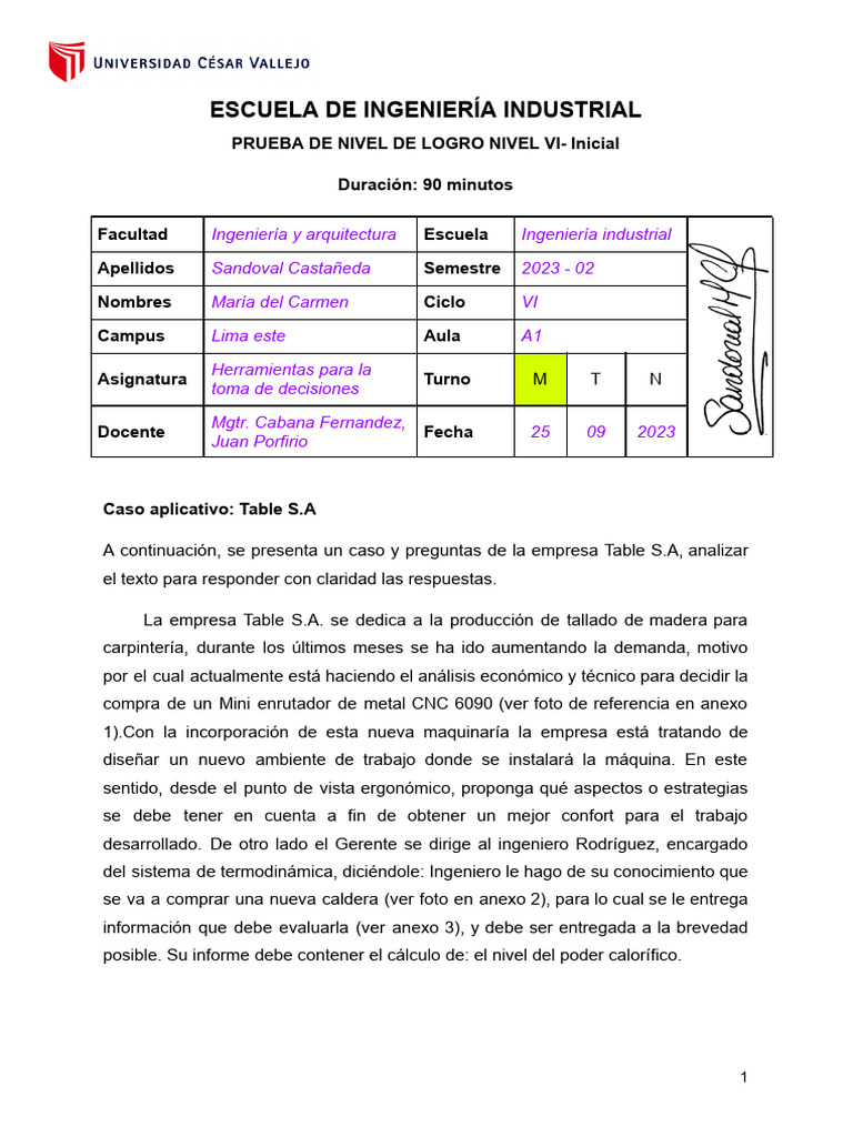 Prueba de Nivel de Logro | PDF | Business | Toma de decisiones