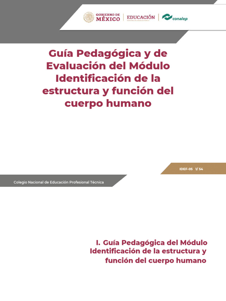 Guía de Estructura y Función del Cuerpo Humano | PDF | Evaluación ...