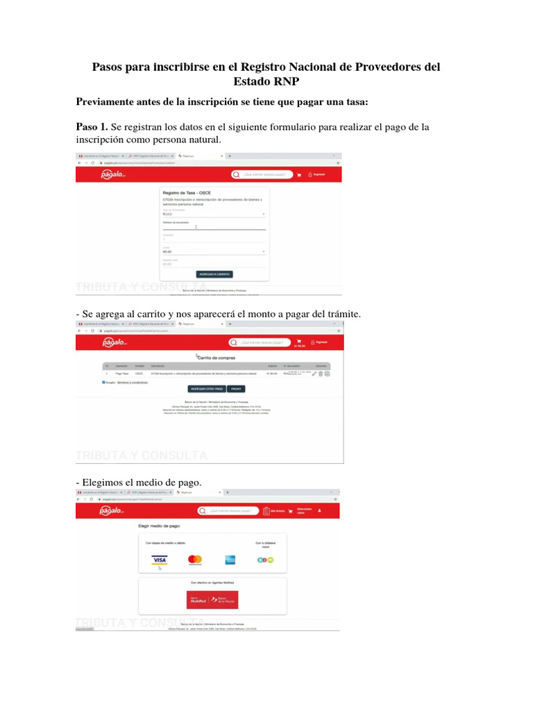Pasos para Inscribirse en El RNP | PDF | Negocios | Finanzas y dinero
