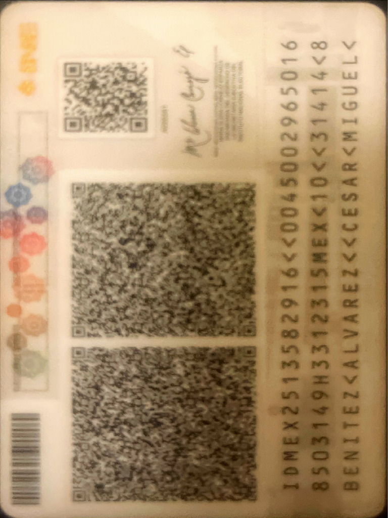 Ine Trasera PDF Comprimido | PDF