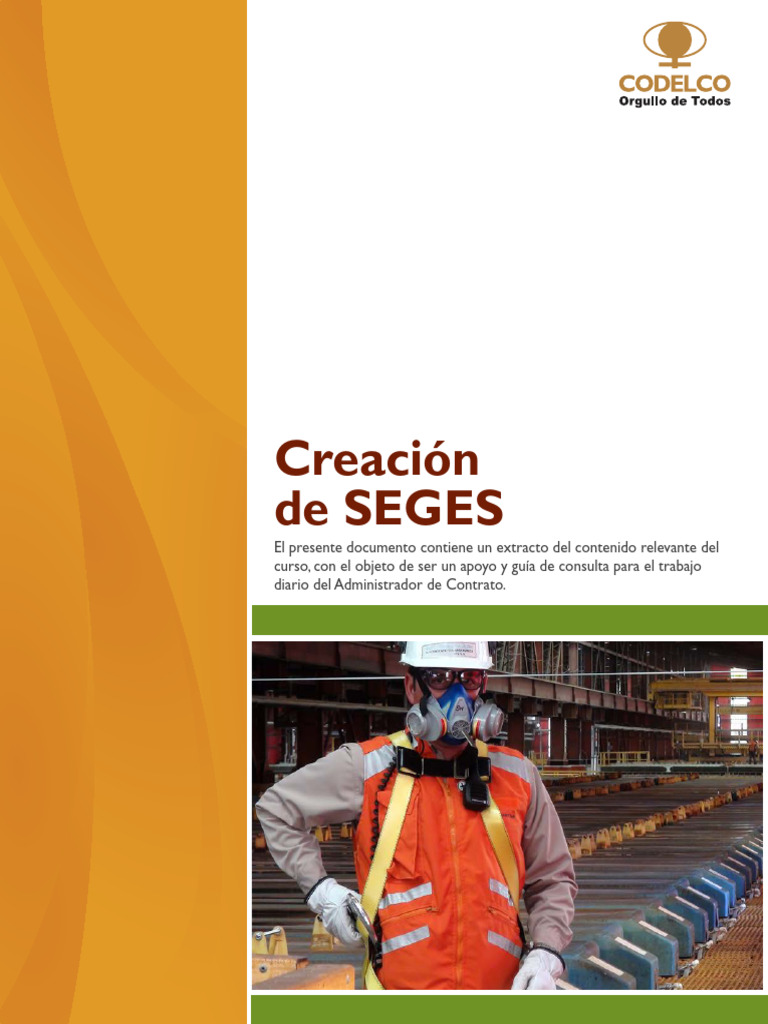 Creacion de SEGES | PDF | Informática