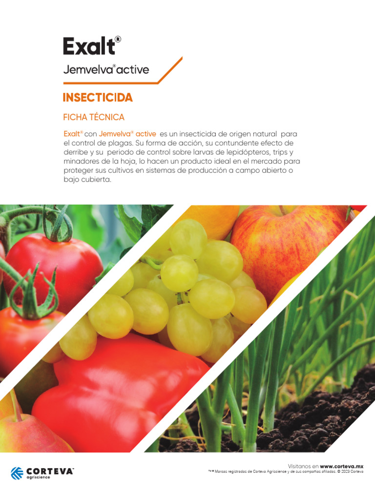 F.T. Exalt | PDF | Insecticida | Agricultura