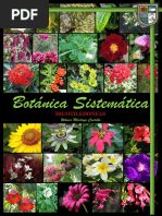 Tallos Modificados - Botánica | PDF | Tallo de la planta | Morfología ...