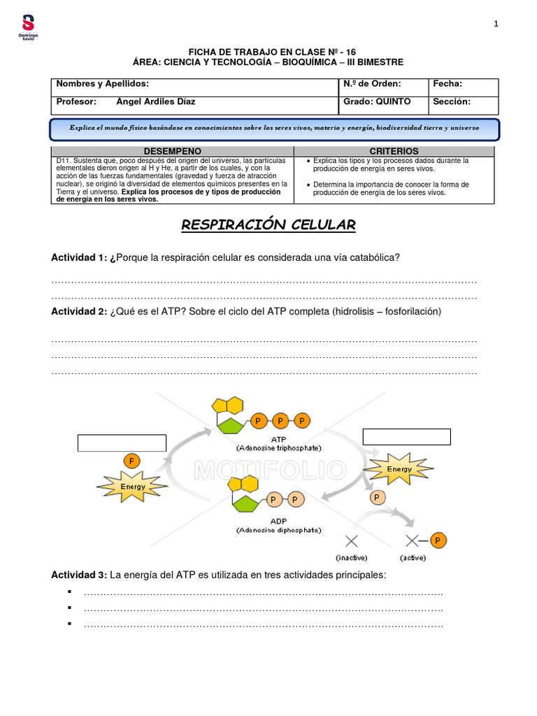 Ficha 16 - 5º - Respiración Celular | PDF | Respiración celular | Trifosfato de adenosina