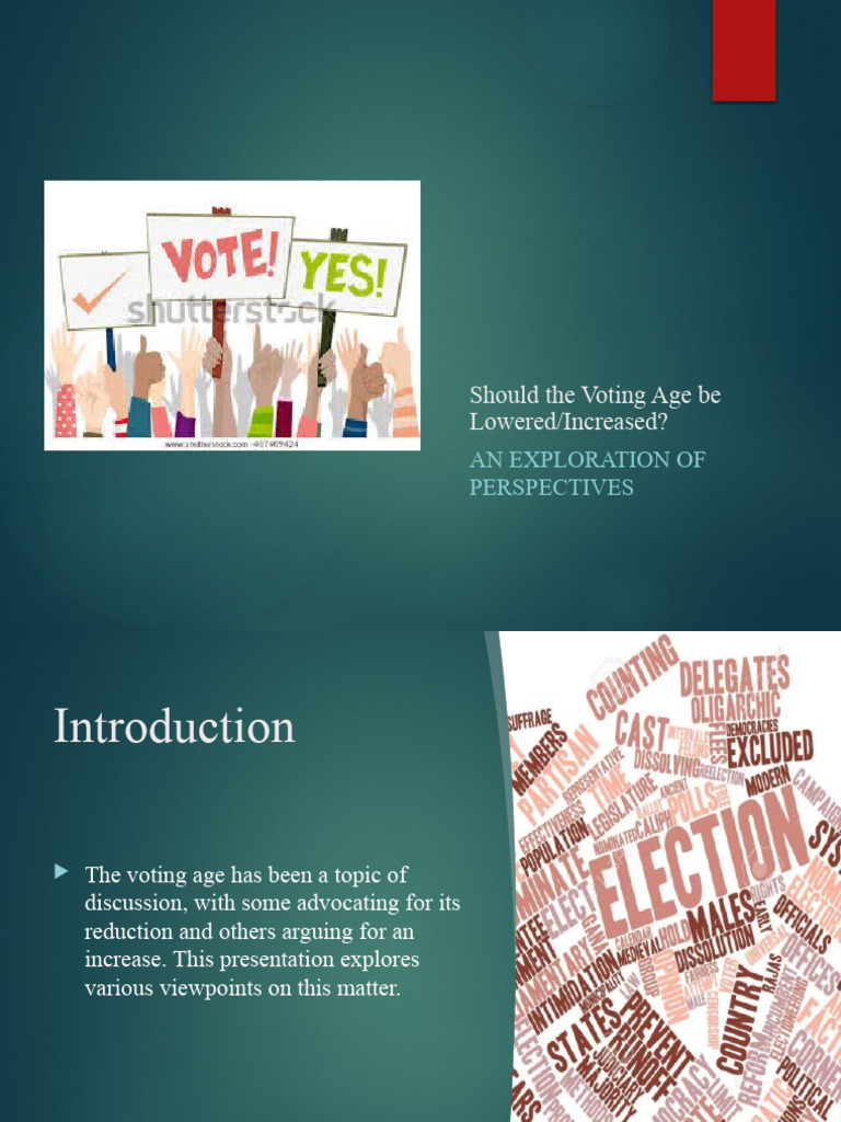 Should The Voting Age Be Lowered | PDF | Career & Growth | Social Science