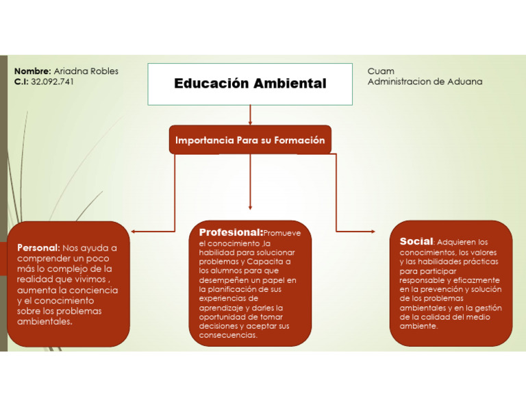 Mapa Conceptual Educacion Ambiental | PDF