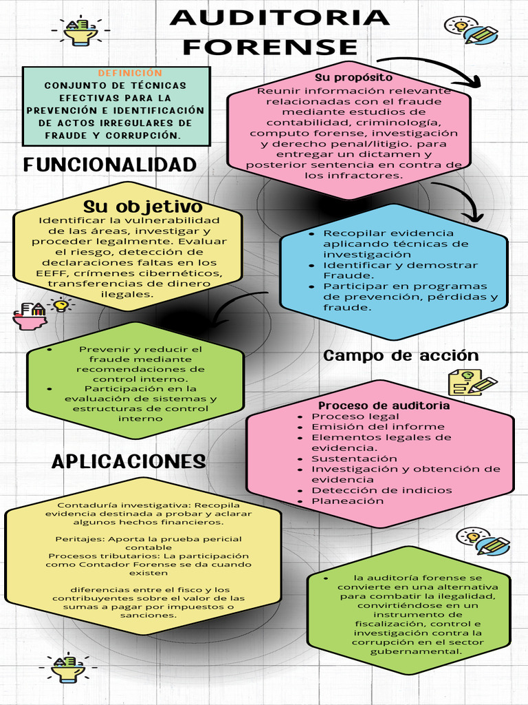 Infografia Auditoria Forense | PDF | Auditoría | Business