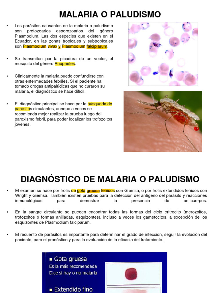 Malaria o Paludismo | Descargar gratis PDF | Malaria | Plasmodium ...